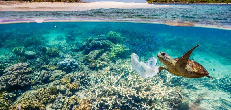 The oceans need our help – Here are 3 ways we can save them