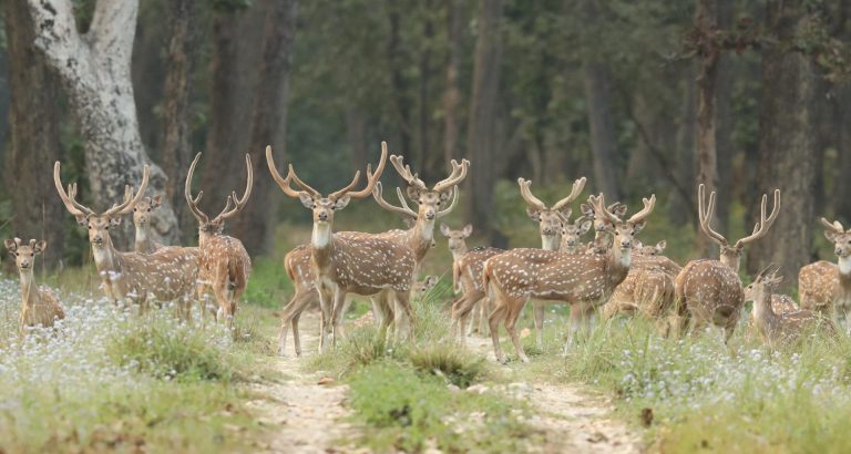 In situ Conservation – A key tool to conserve biodiversity