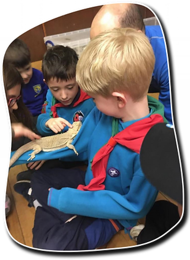 Unforgettable Animal Handling Experiences in Leeds