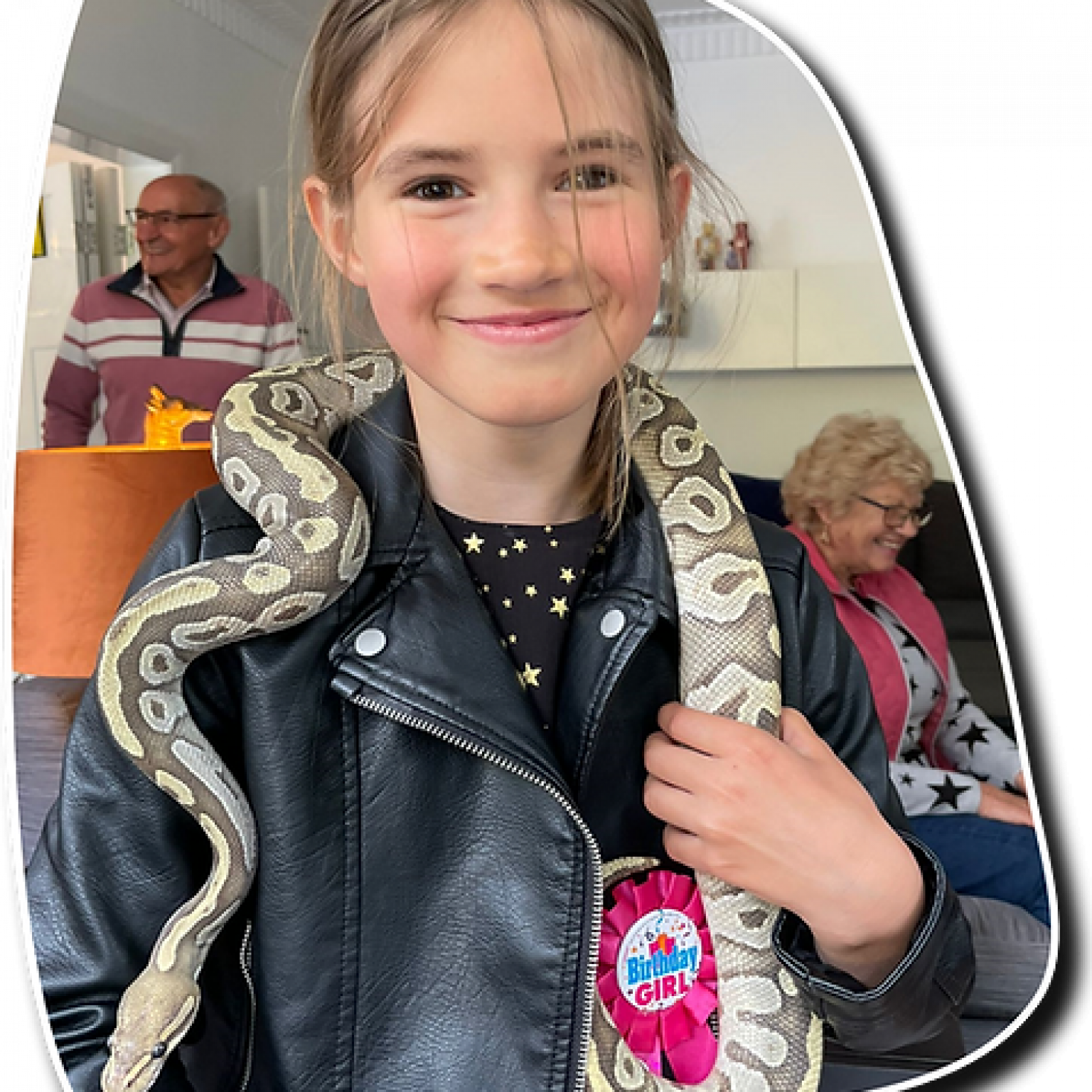 Do pet snakes recognise their owners? Bonding with a snake