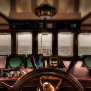 Echolocation Explained: How Animals See Sound